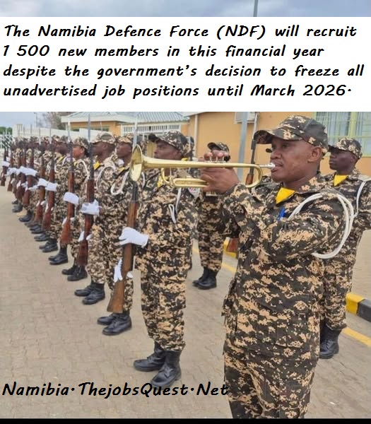 November Namibian Defence Force Recruitment 2026 - NDF Application Form ...